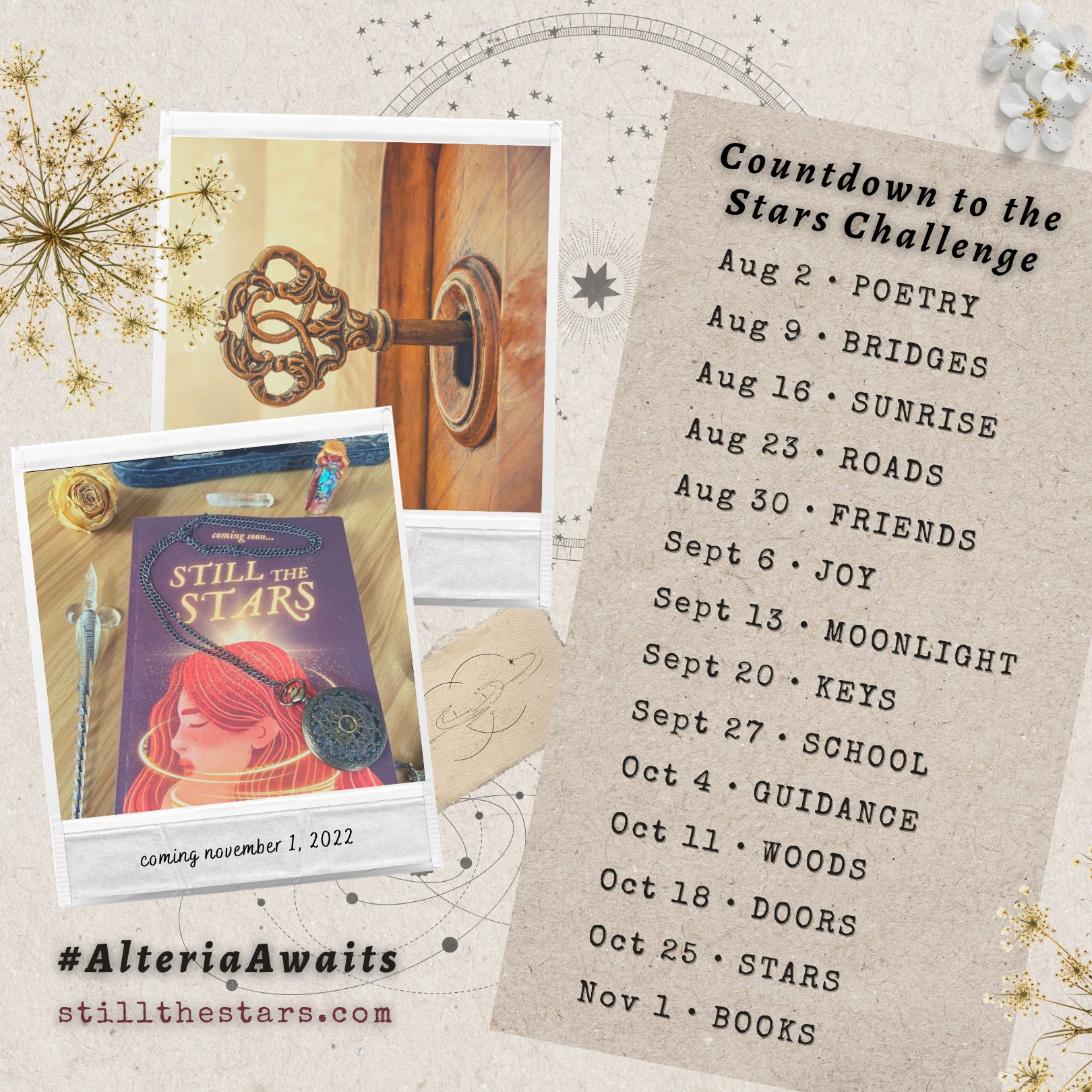 Countdown to the Stars - by Elayna Mae Darcy