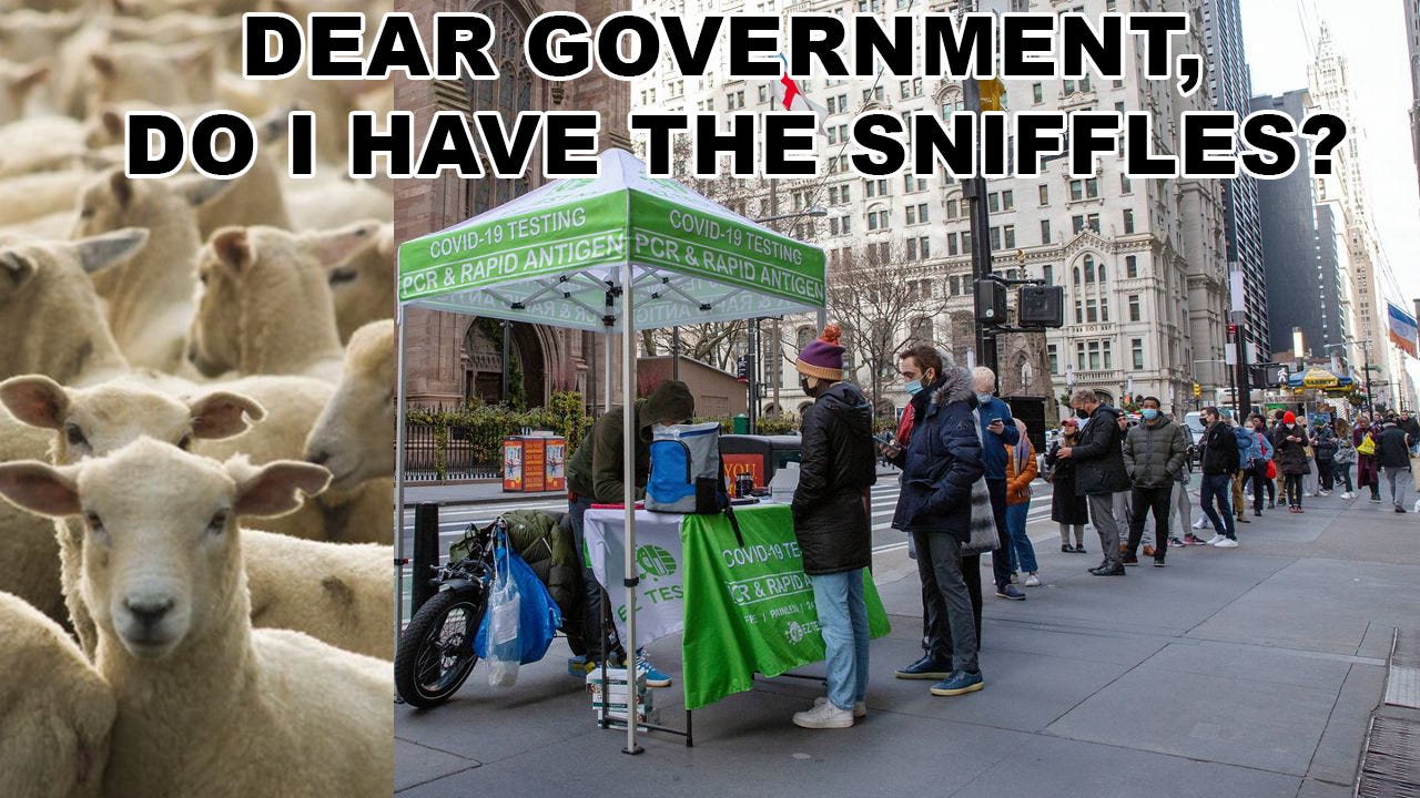 Illusions of Mass Delusion - The Good Citizen