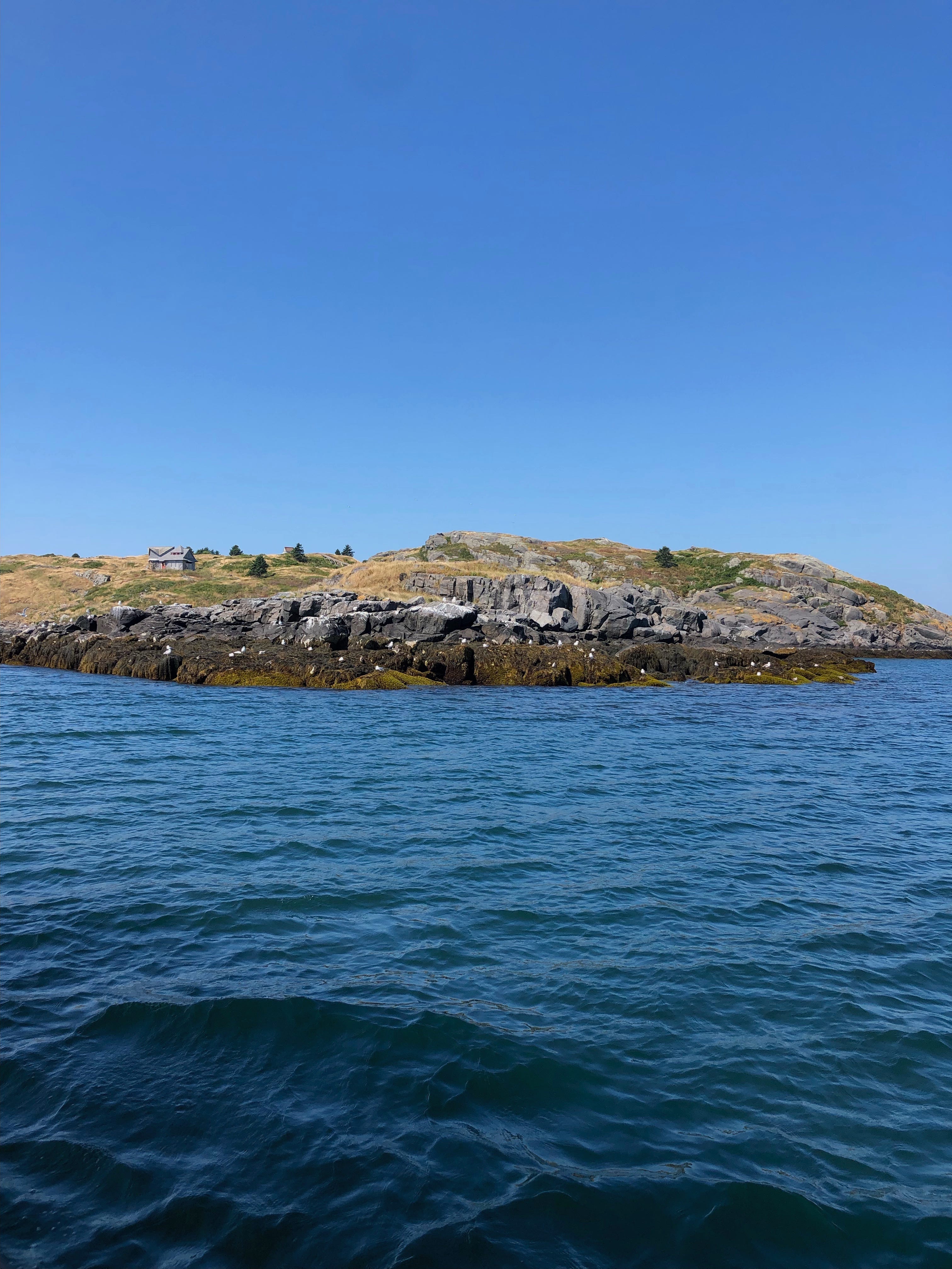 At Sea - by Eiren Caffall