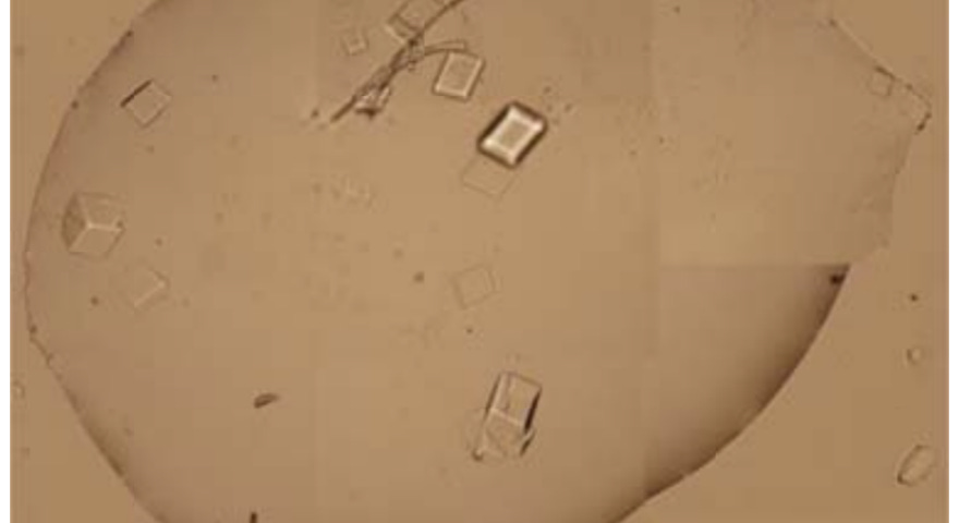 Self-Assembly of DNA Crystals. Mik Andersen