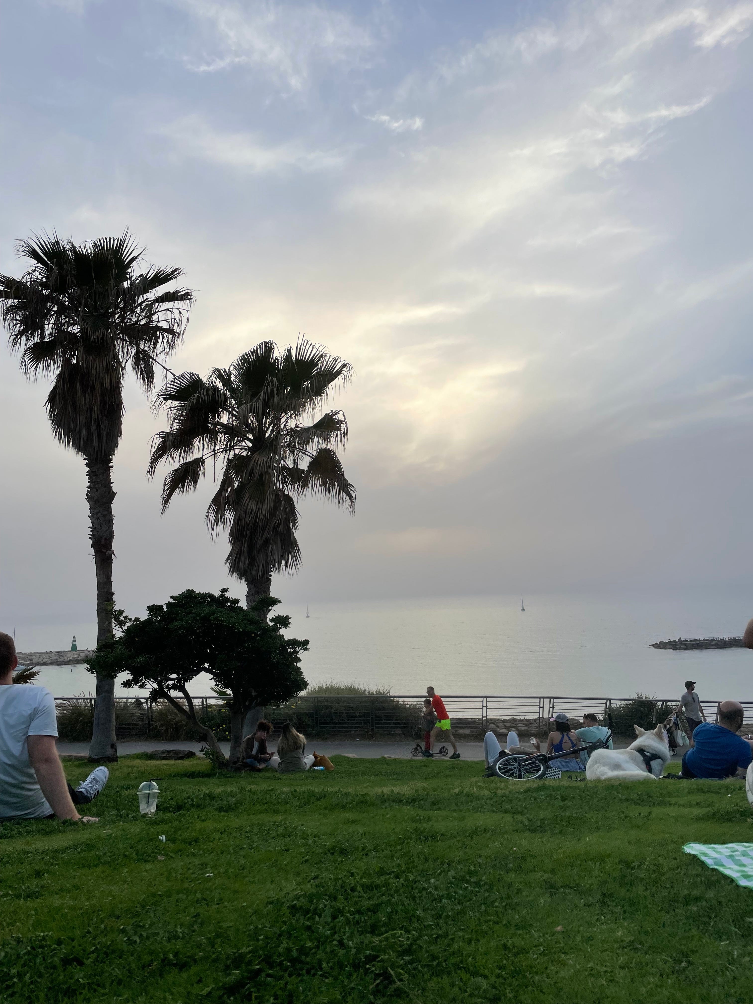 week 16 - by Jennifer Finkel