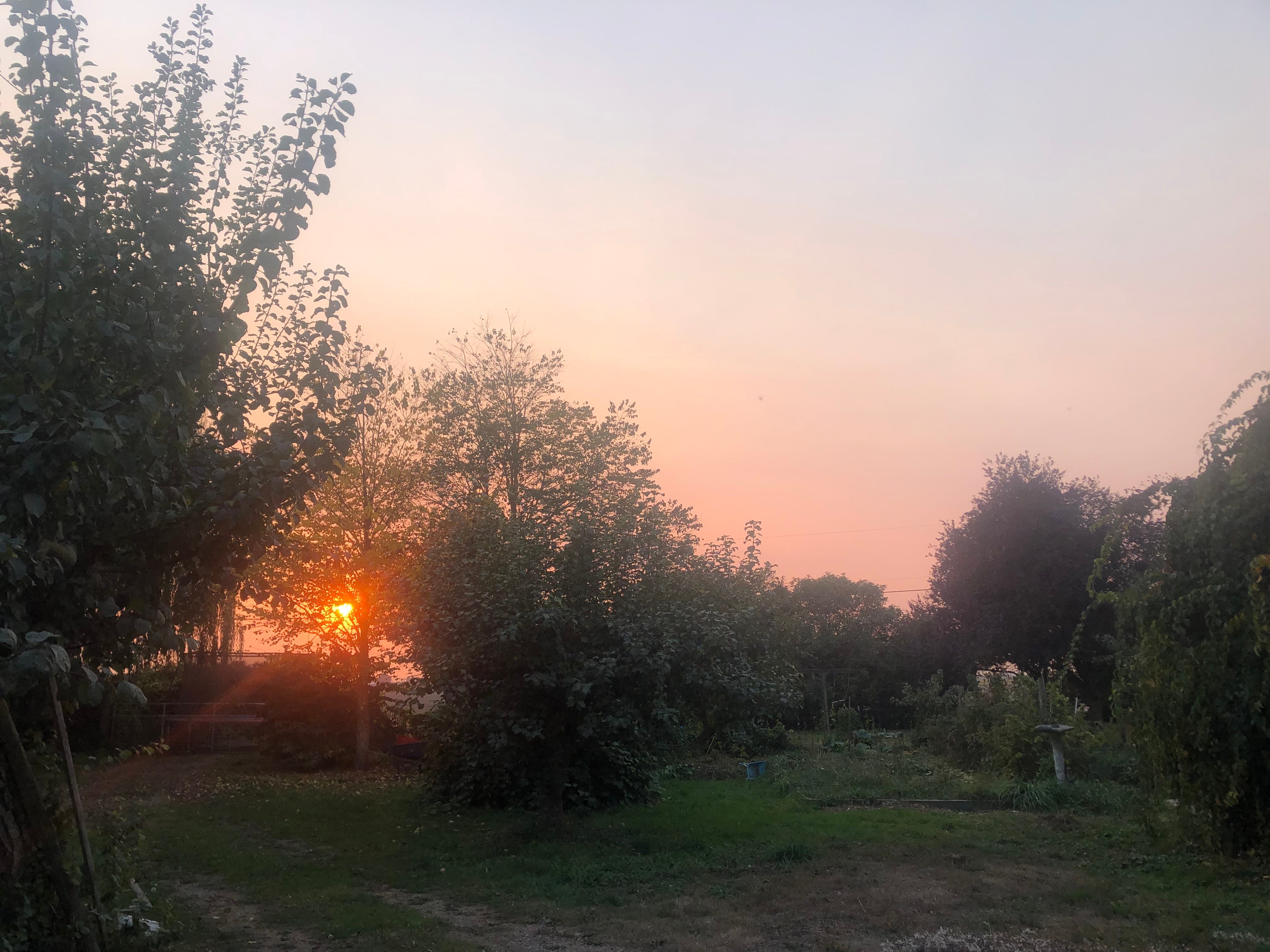 The Smoke is Back! - by Jessica Gigot, PhD