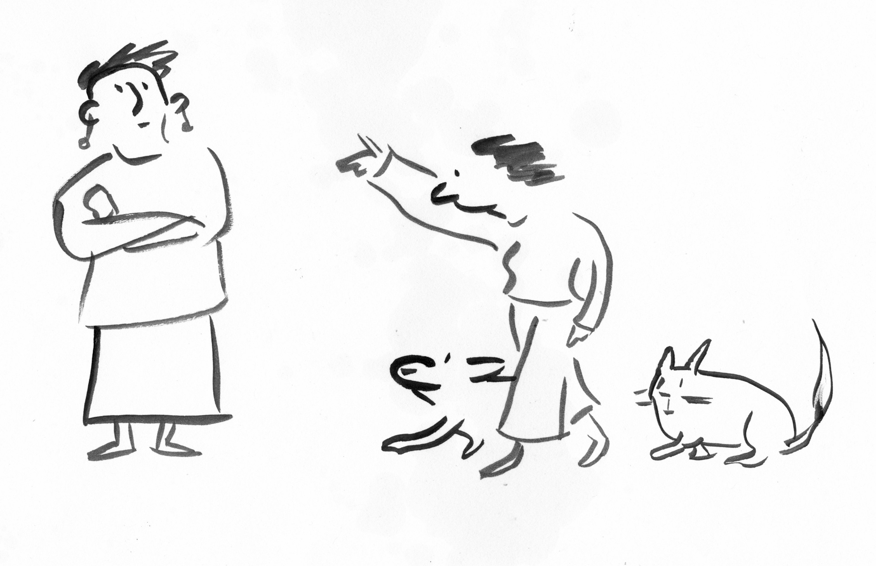 What Does A Line Say? - by Liza Donnelly - Seeing Things