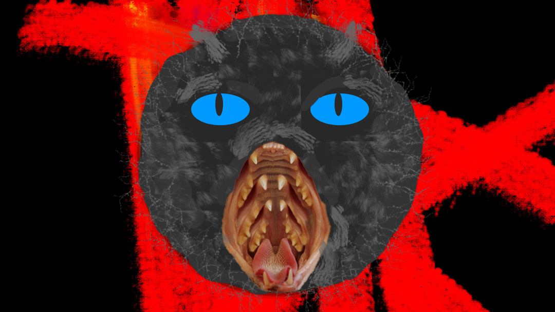 Invasive Species - by Judith Klinger - Camera Obscura