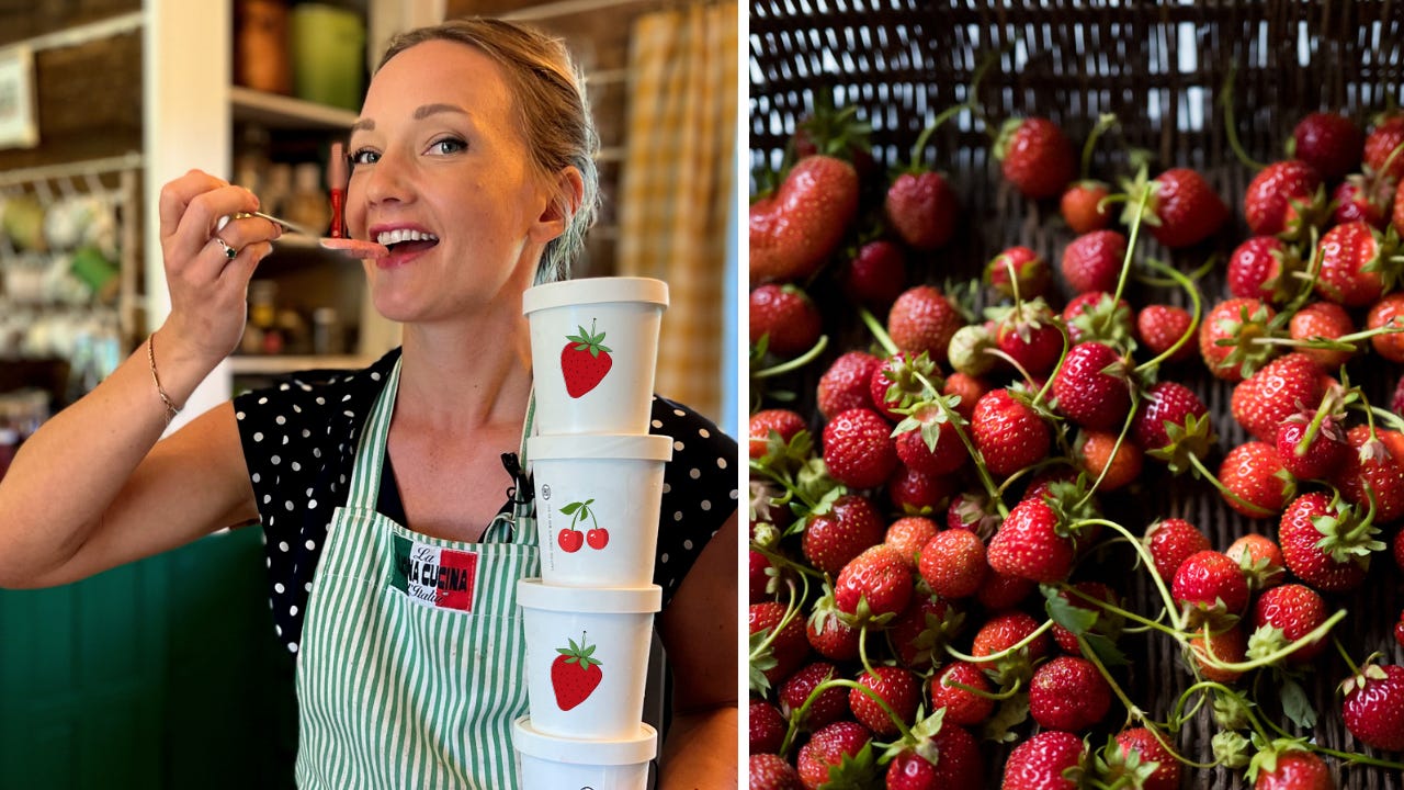 The Elliott Homestead Newsletter | Shaye Elliott | Substack