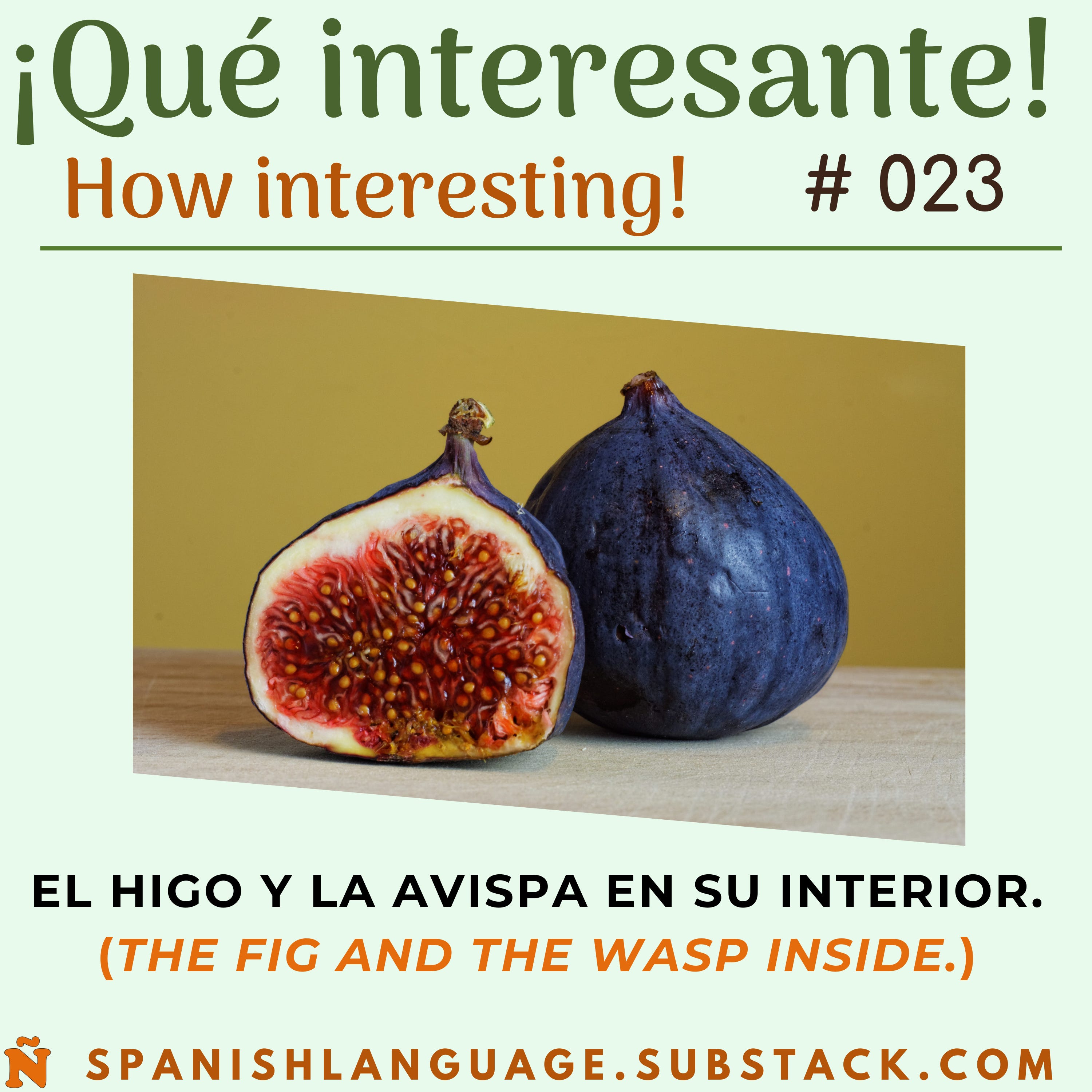 ¡Qué interesante! (How interesting!) #023