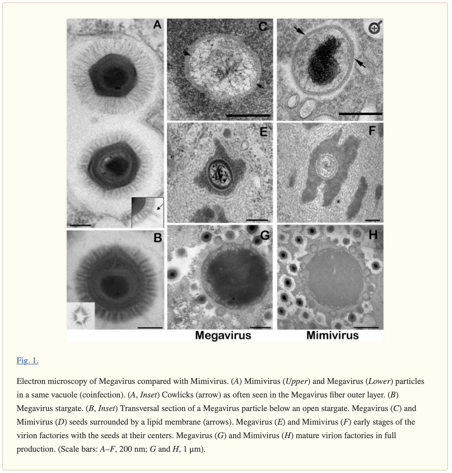 Viral and Viroid replication and the impact on genomic surveillance.
