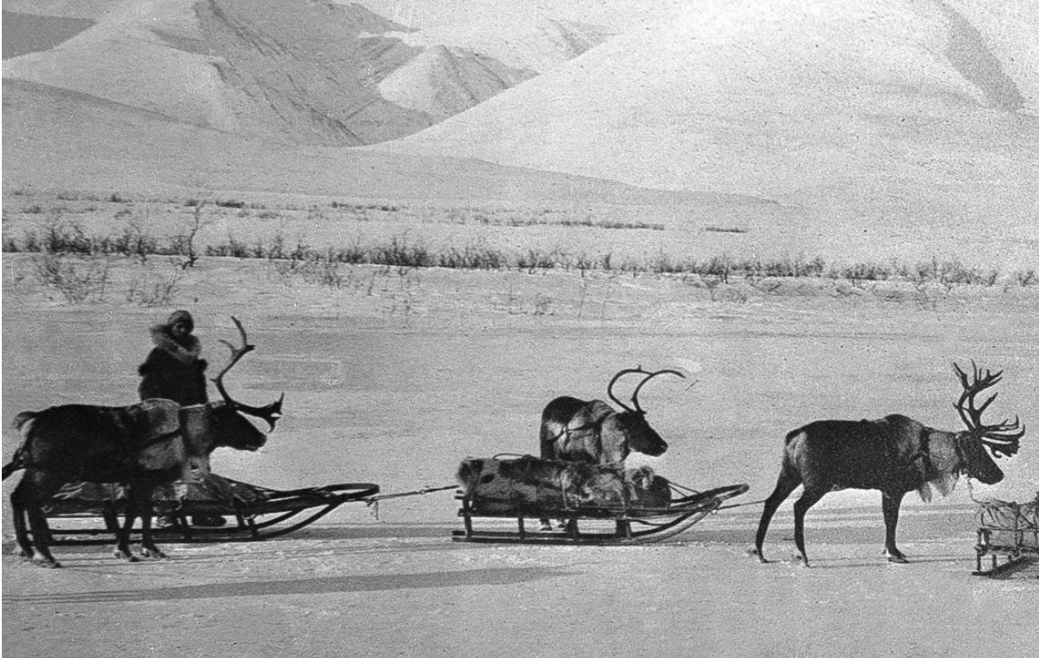 Reindeer Mail - by Helen Hegener - Northern Light Media