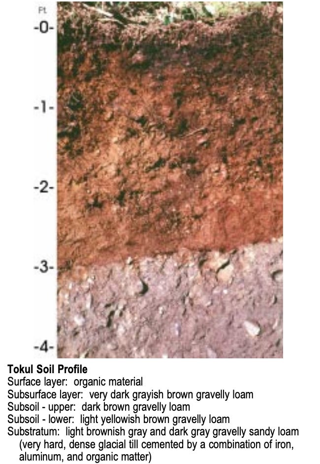 002 The dirt on Seattle’s dirt. - by Callie Neylan
