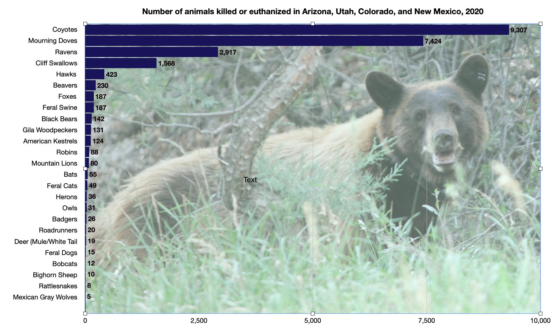 Data Dump: Wildlife Death Toll - by Jonathan P. Thompson