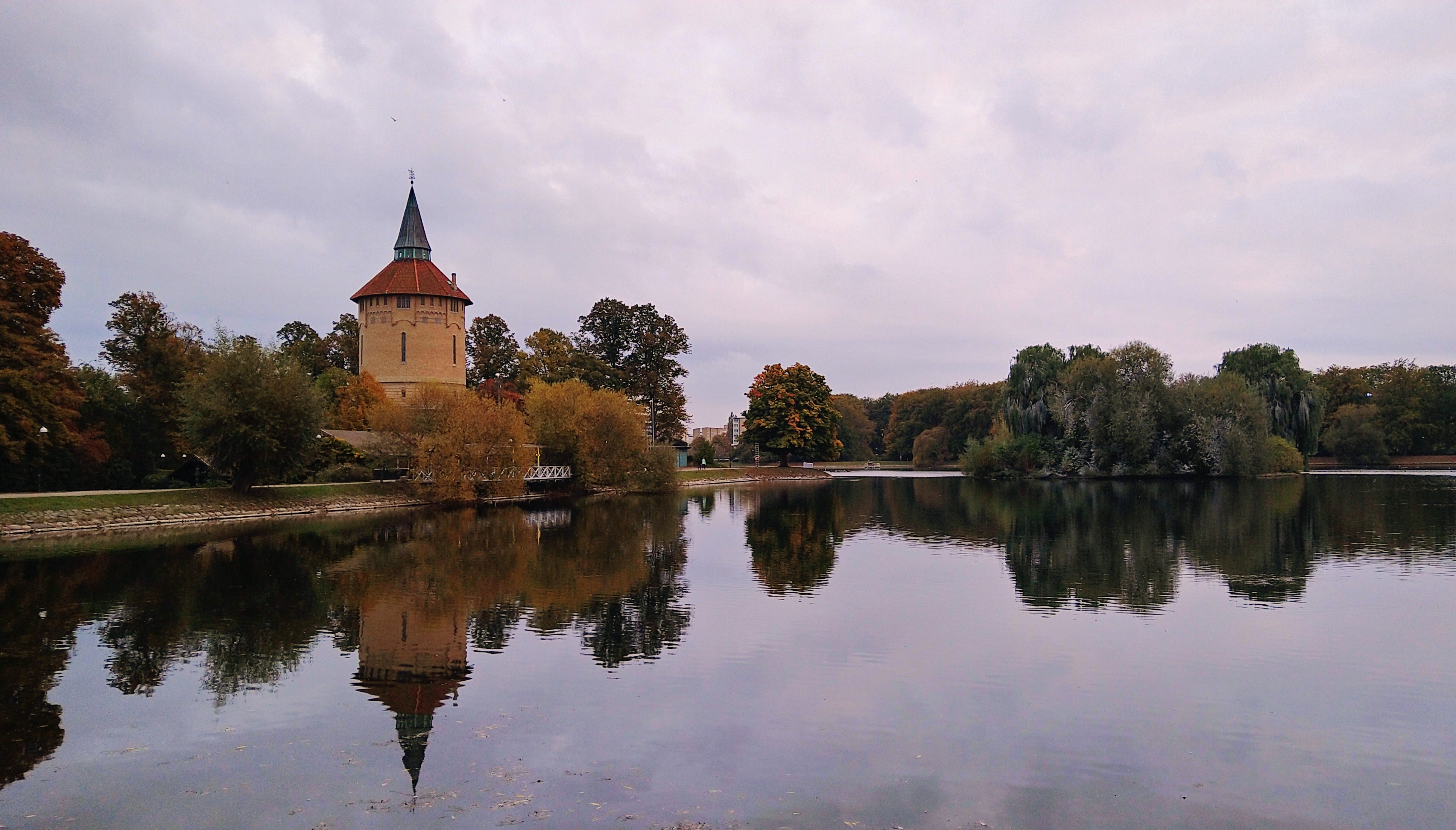 Issue 105: Clever moose & grunting bucks