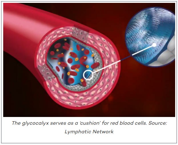 Persistent capillary rarefication in long COVID syndrome