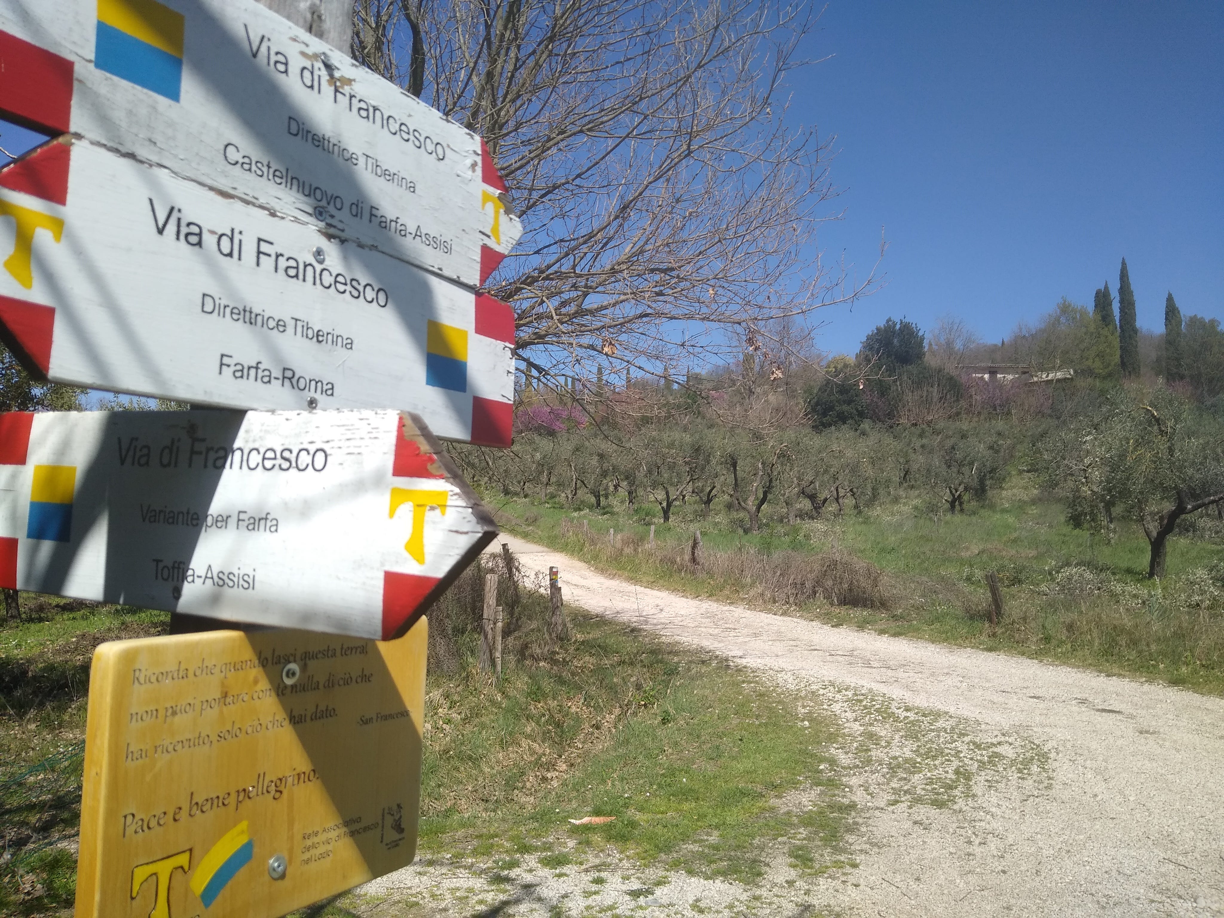 Wisdom from the Holy Navel - by Jonathan Hadas Edwards