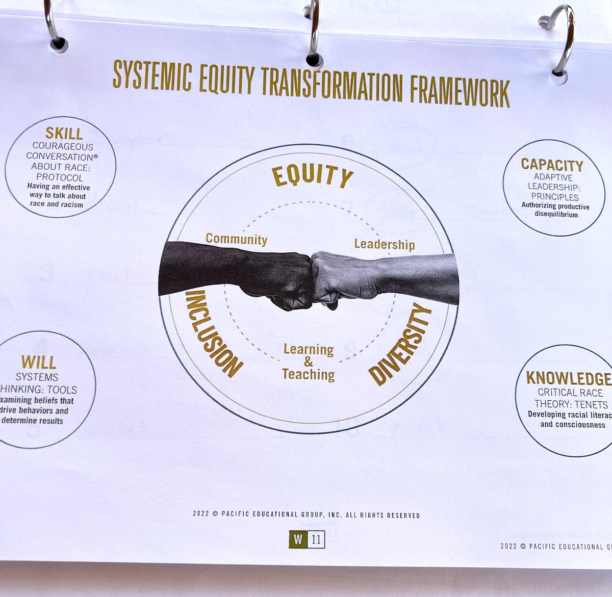 "Racial Consciousness" a prominent focus of Chatham County Schools ...