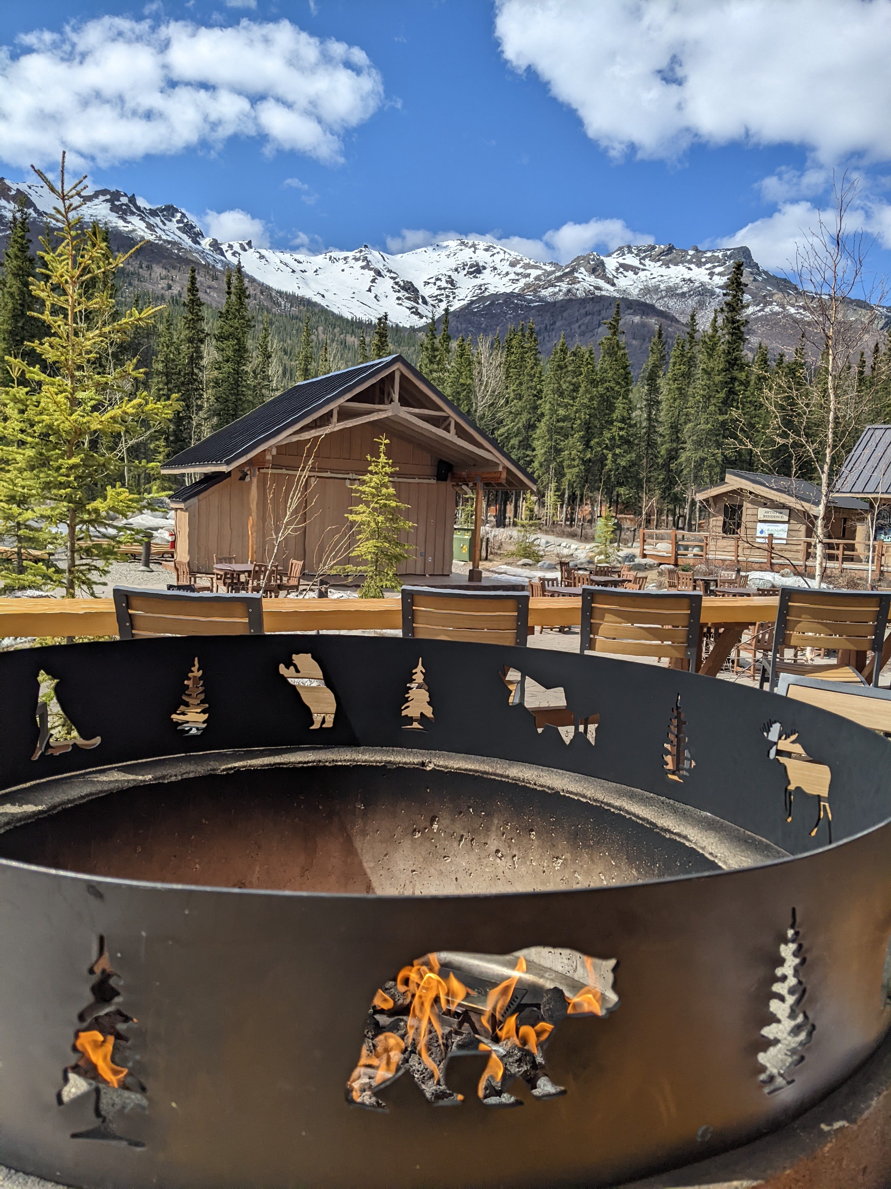 Princess Cruisetour Review 2022 - by Trips with Angie