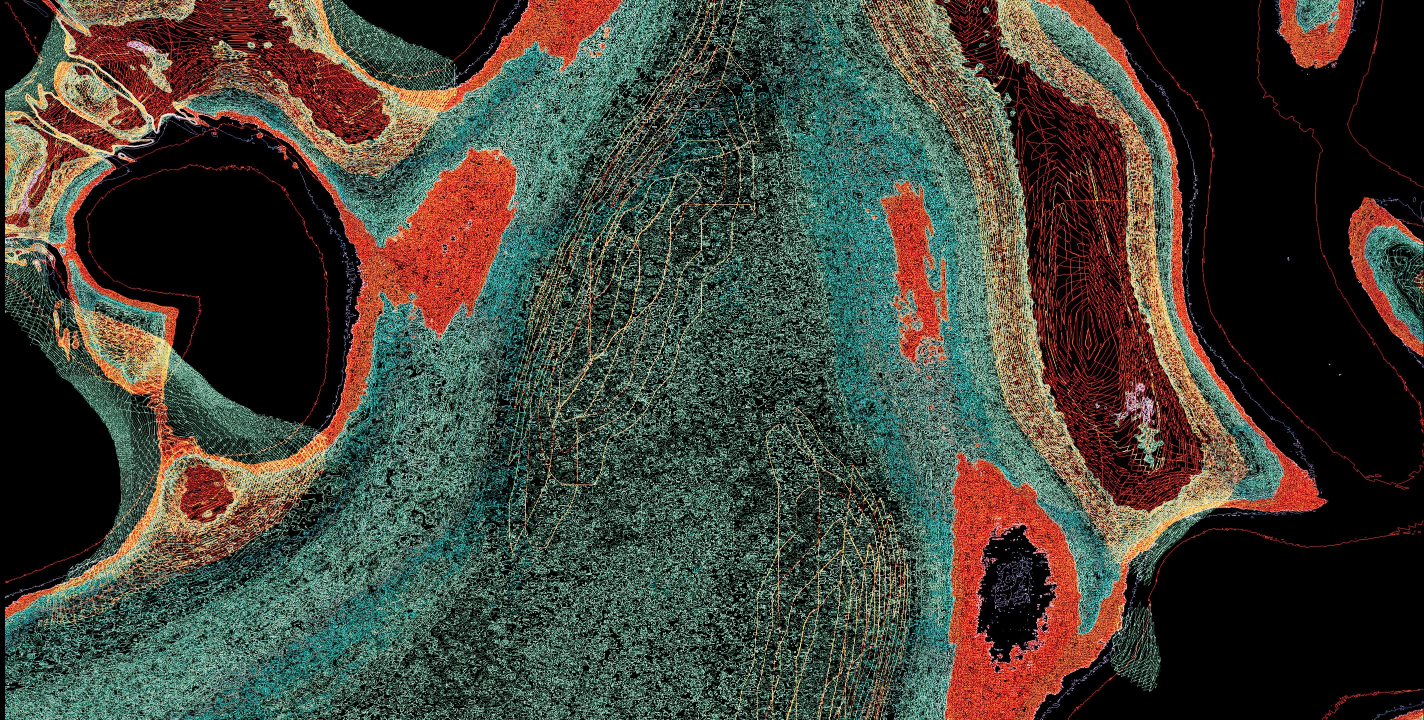 The Fascinating Story Behind Qubibi – Personal Interview [2022]