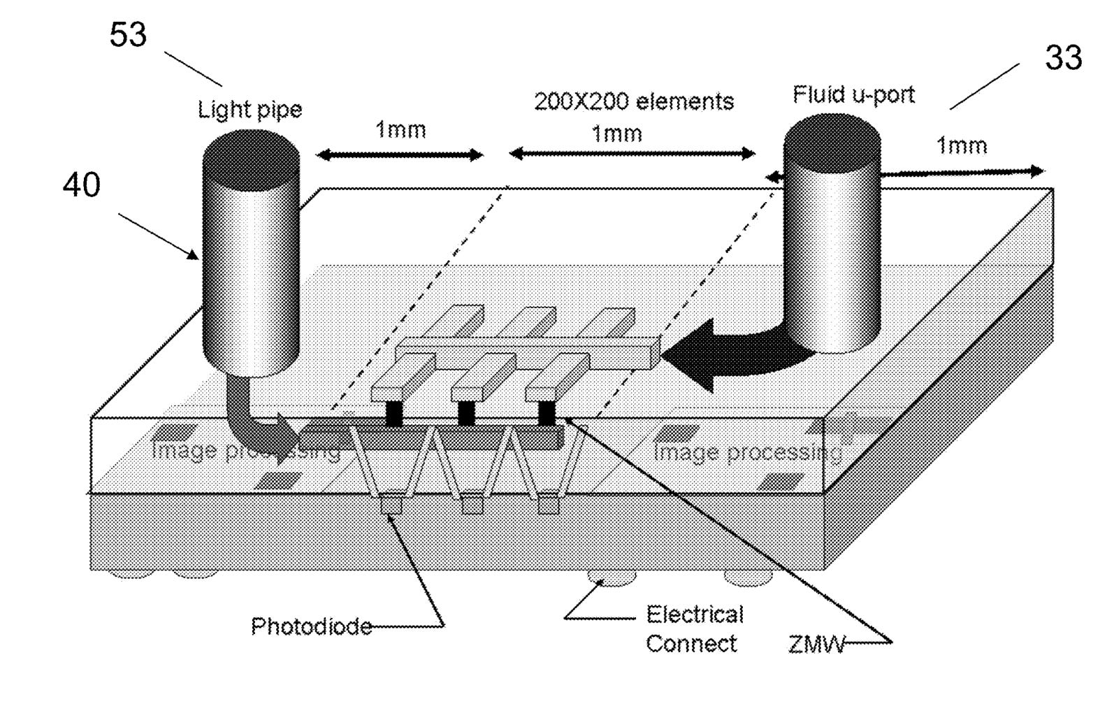 What's in a PacBio Revio? - by Nava Whiteford