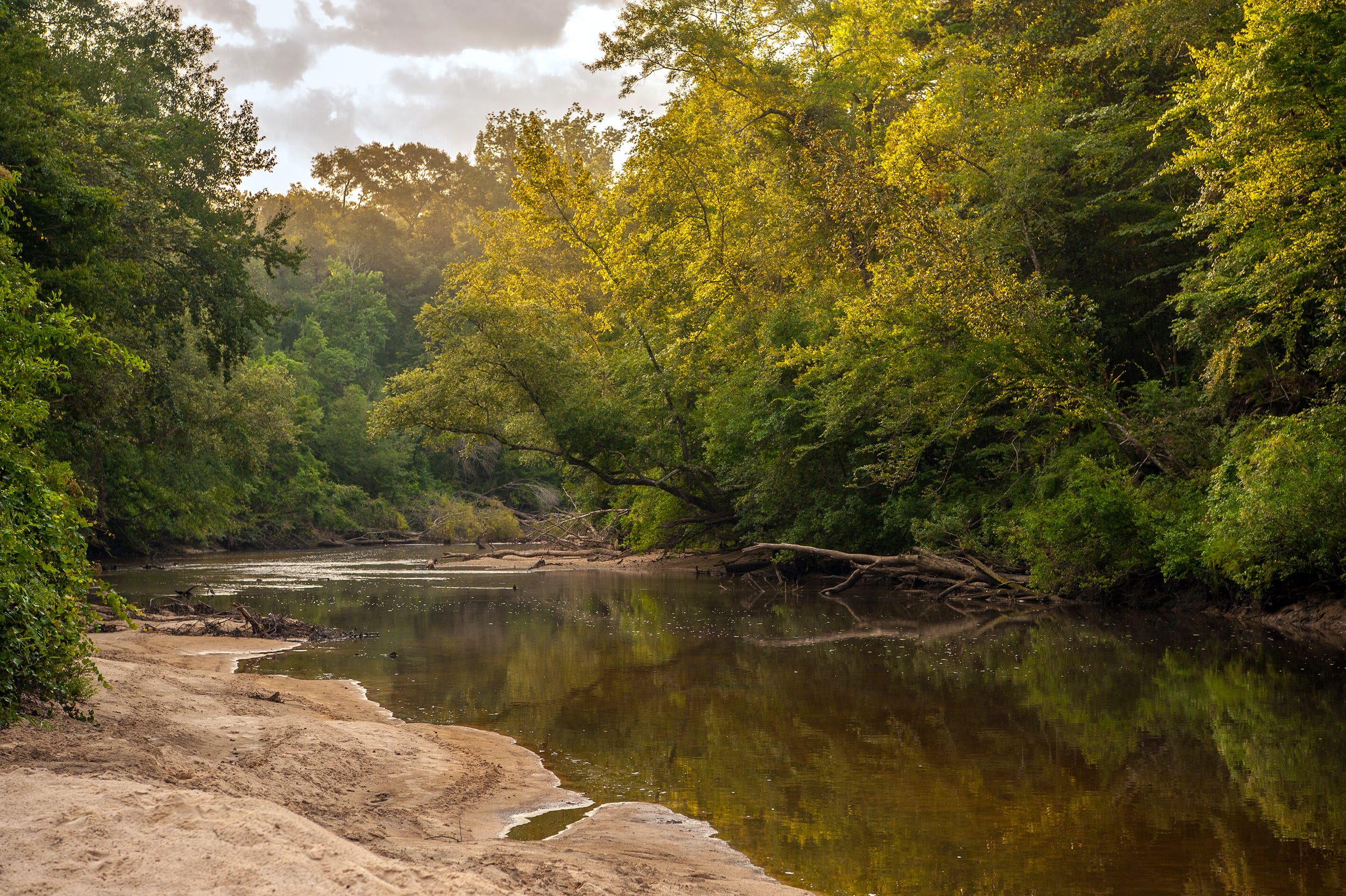 Blackwater Rivers - by Boyce Upholt - southlands