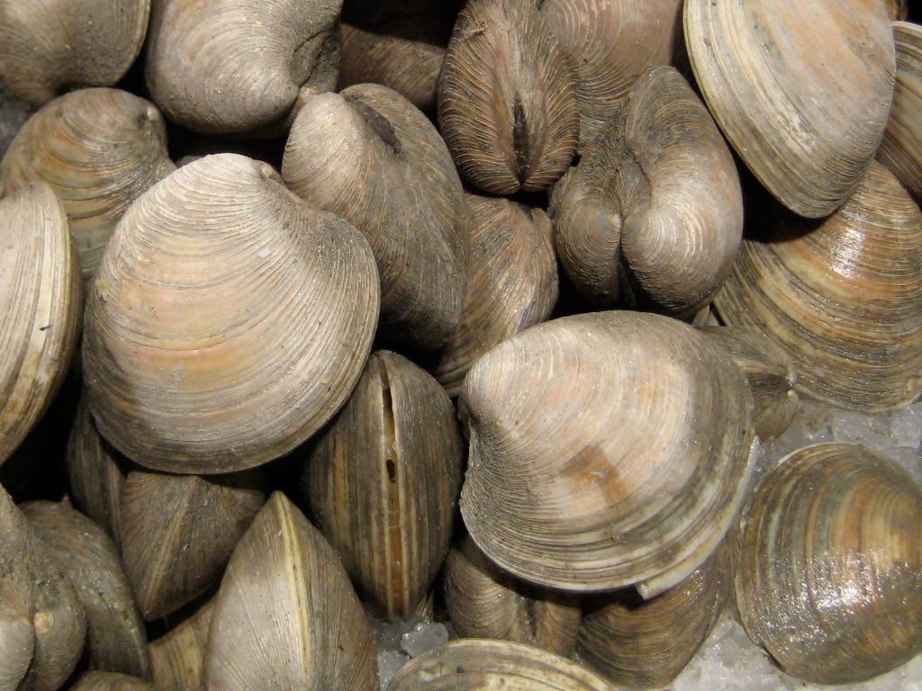 Topical Guide 32 - by Eric Kraft