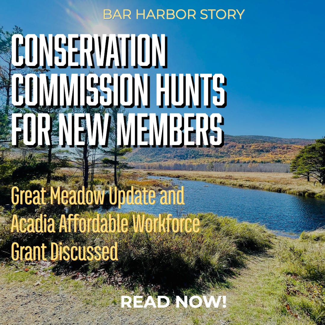 Conservation Commission Hunts For New Members