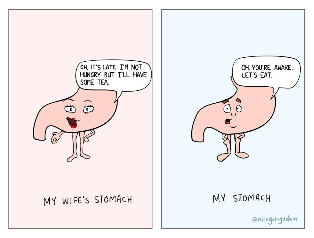 Stomach - Nice Going, Adam!