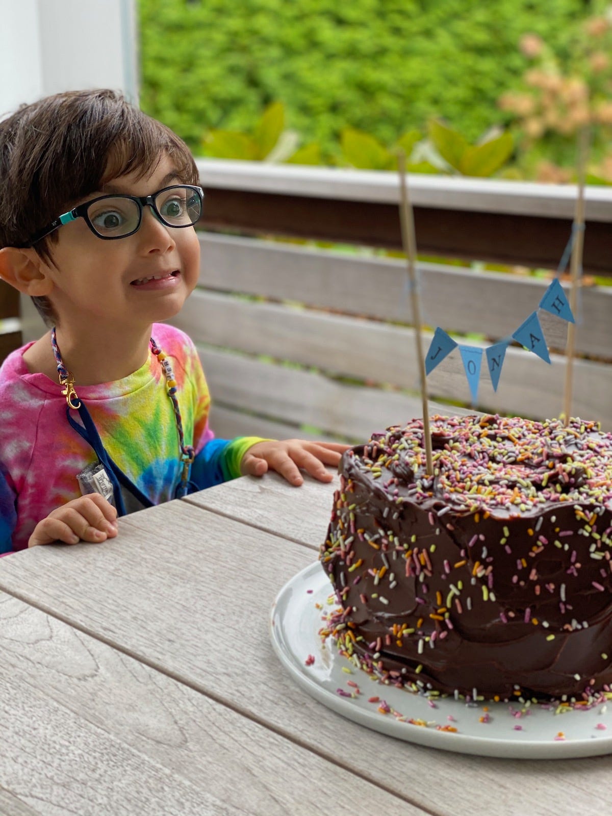 The Only Birthday Cake You'll Ever Need - by Susan Spungen