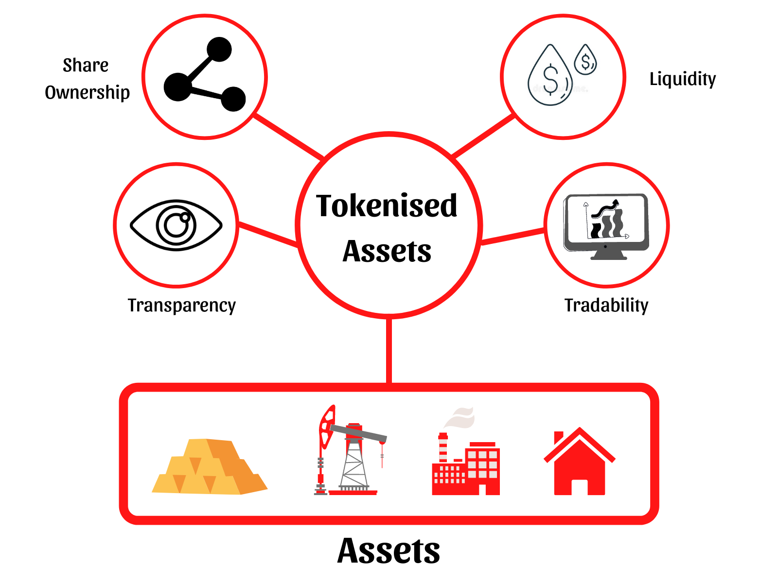 Tokenised Asset Classes - by Tuan Dinh and Lisa JY Tan