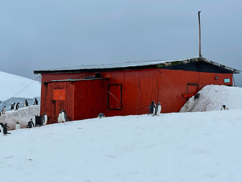32. Curtiss Bay and Mikkelsen Harbor - by Frances - Minus90