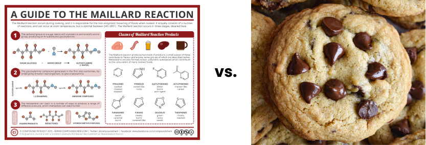 Primer: The Ambitious Home for Ambitious Kids