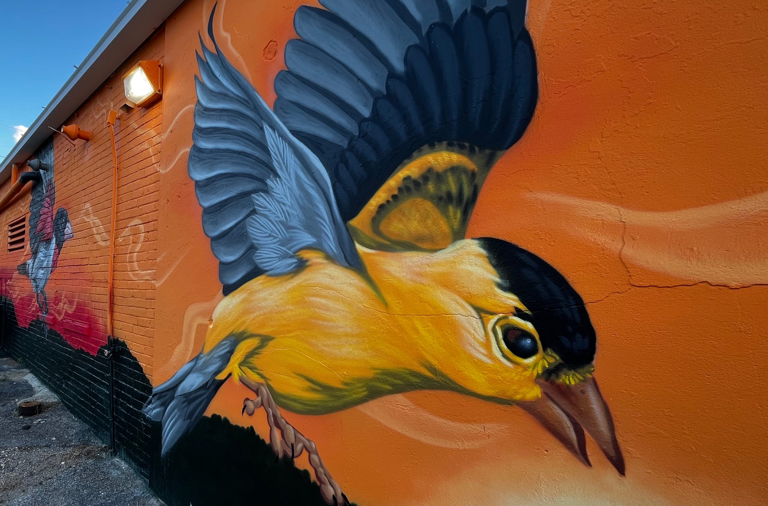 Of downtown clocks and neighborhood murals