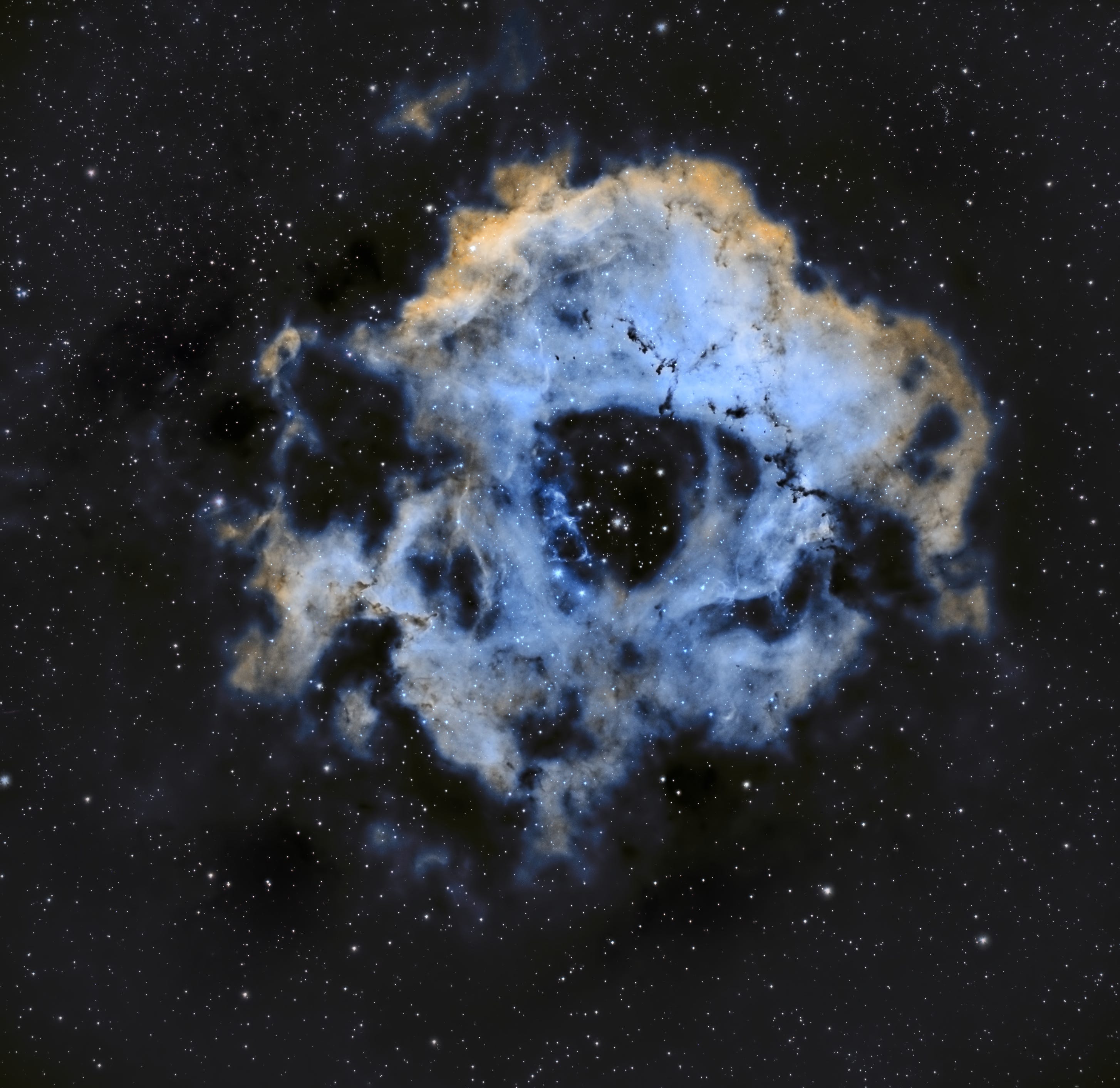 Rosette Nebula Hubble Palette