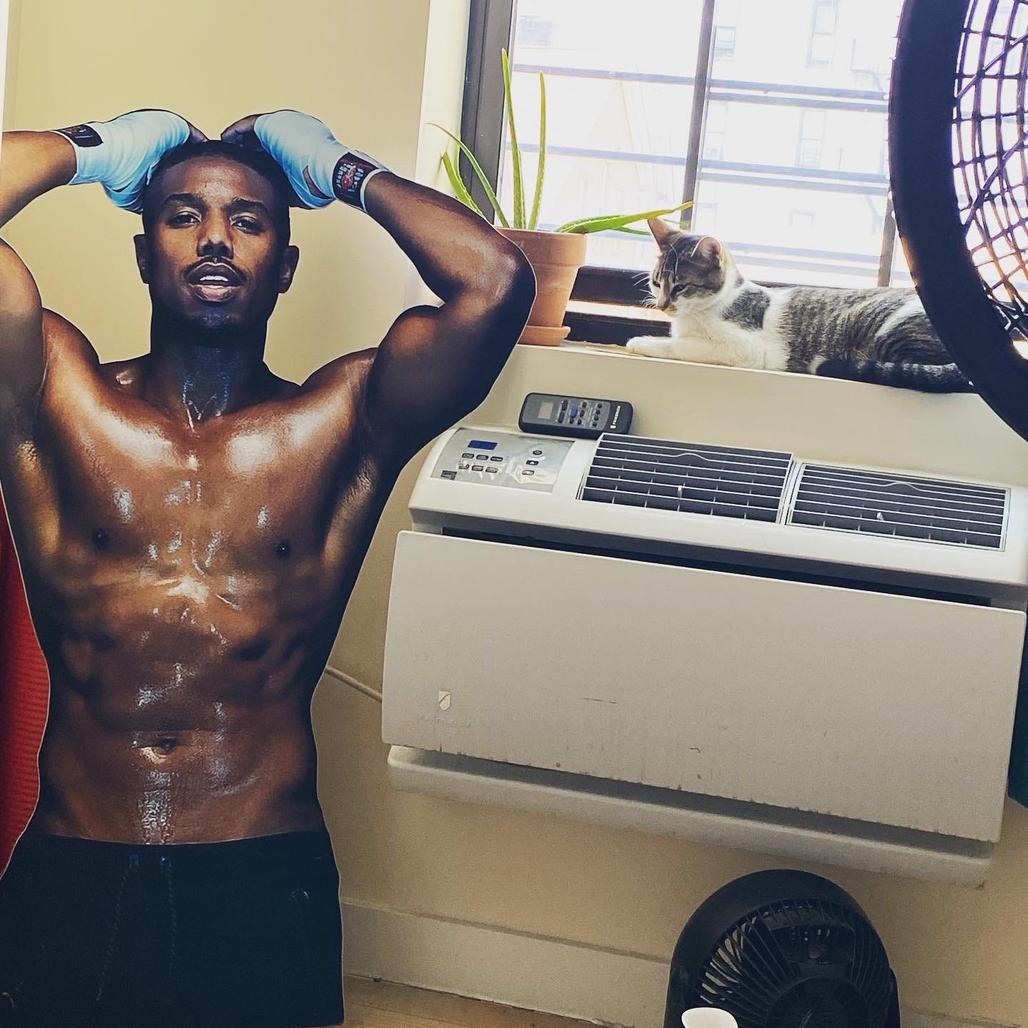 Nicole Knows | Nicole Cliffe | Substack