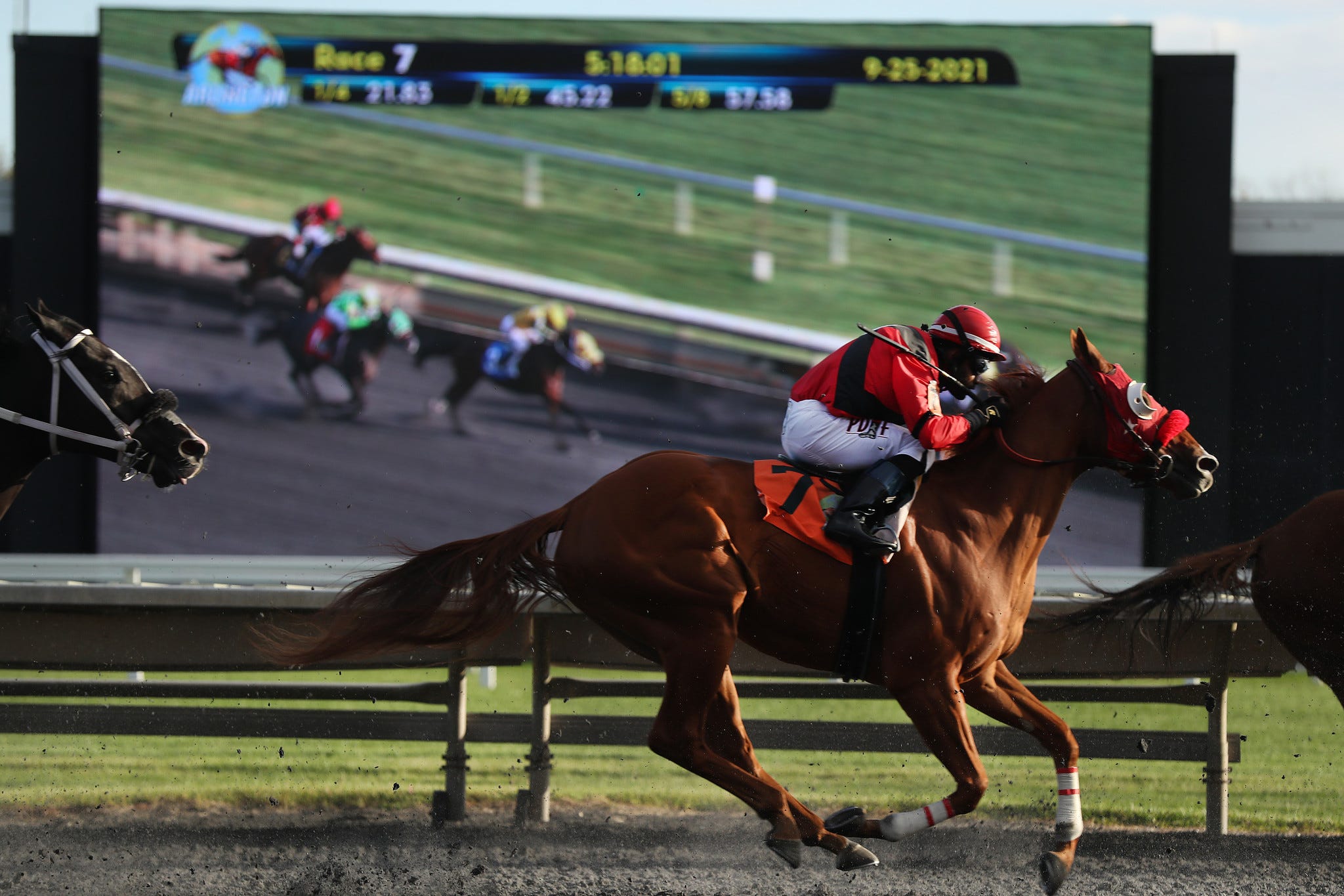 THE ILLINOIZE: Monday Free for All - by Patrick Pfingsten