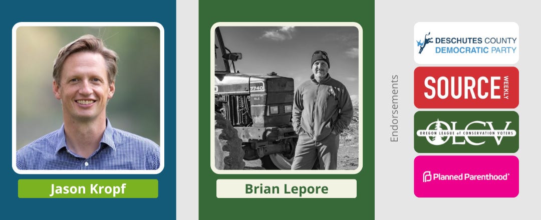 How I am Voting in the Bend Midterms: November 2022