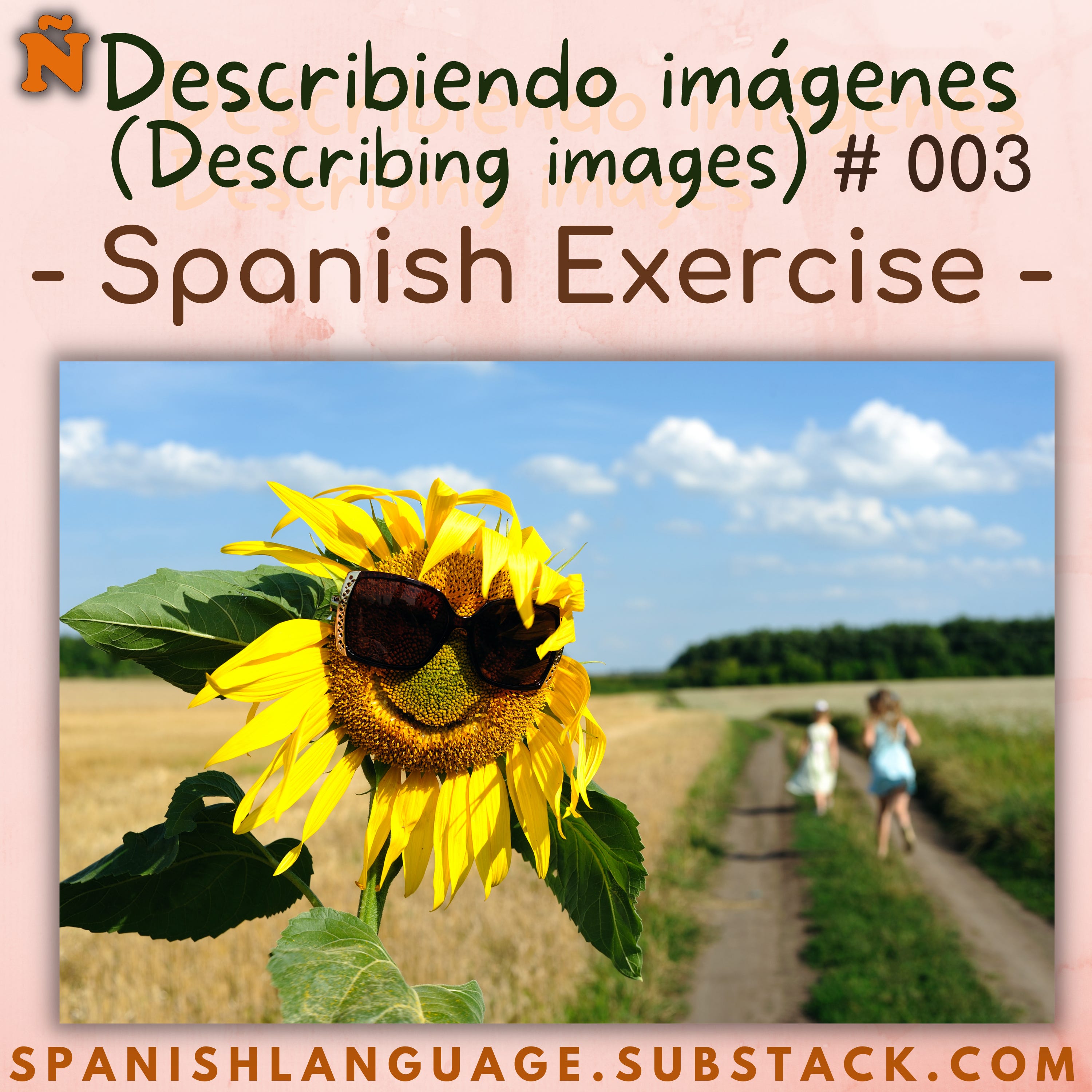 Describiendo Imágenes en español (003)