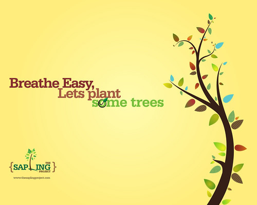 Sapling Project Wall Paper - by admin - Bombaylives