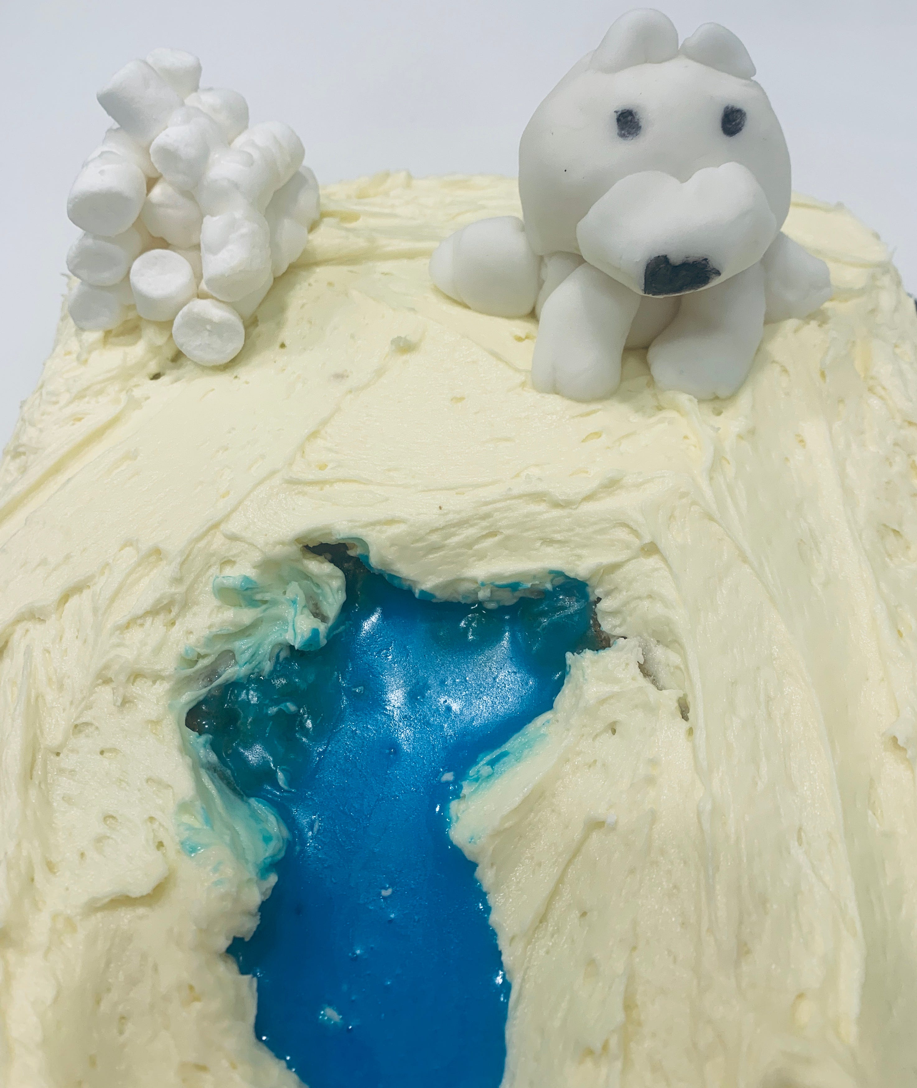 Arctic cake. - Baking the world with Dolly