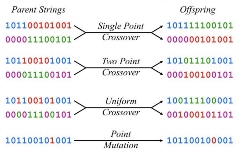 Understanding Compositional Pattern Producing Networks