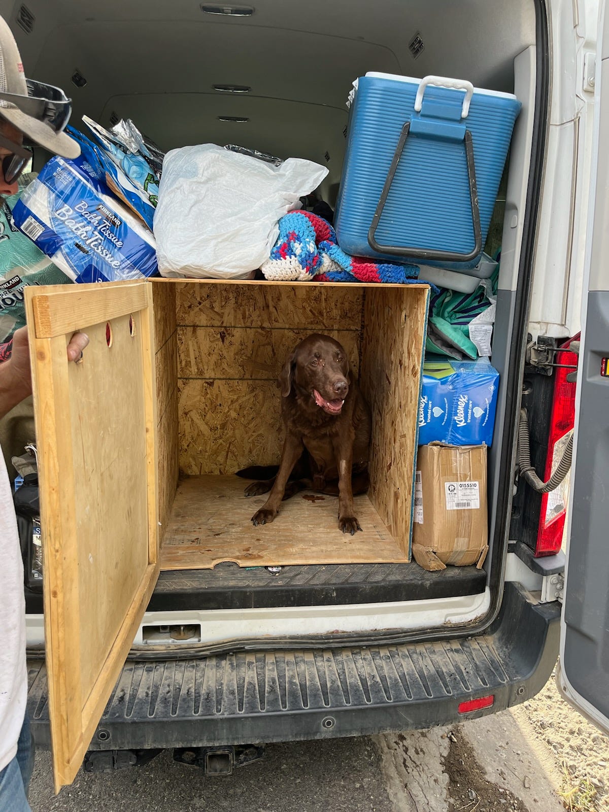 [175] Screed City - Joey Truman