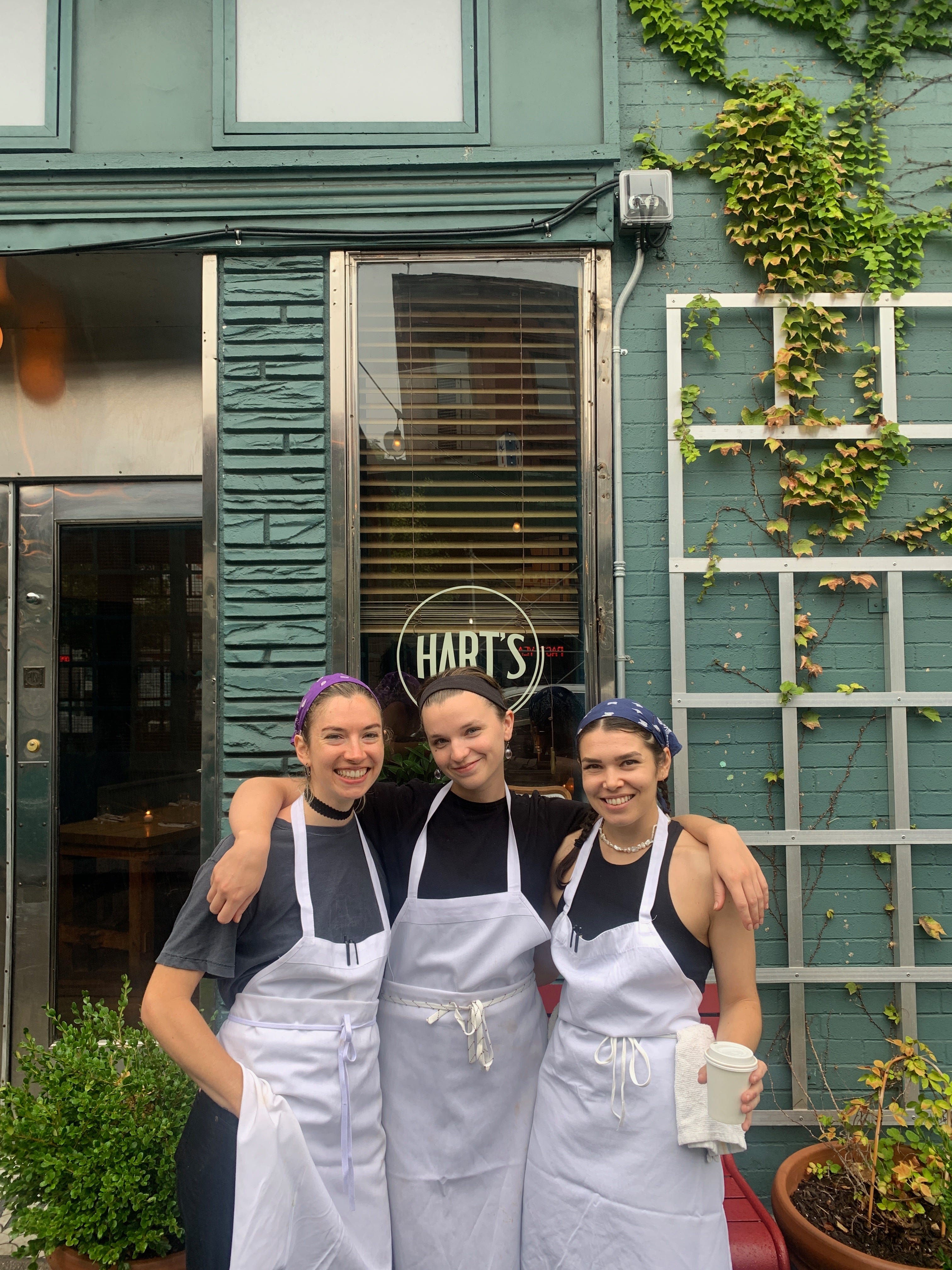 A brief note - by Phoebe Fry - The Dish