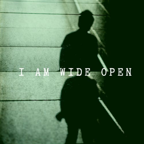 I AM WIDE OPEN - by David Pierce Jones - The Daily Offering