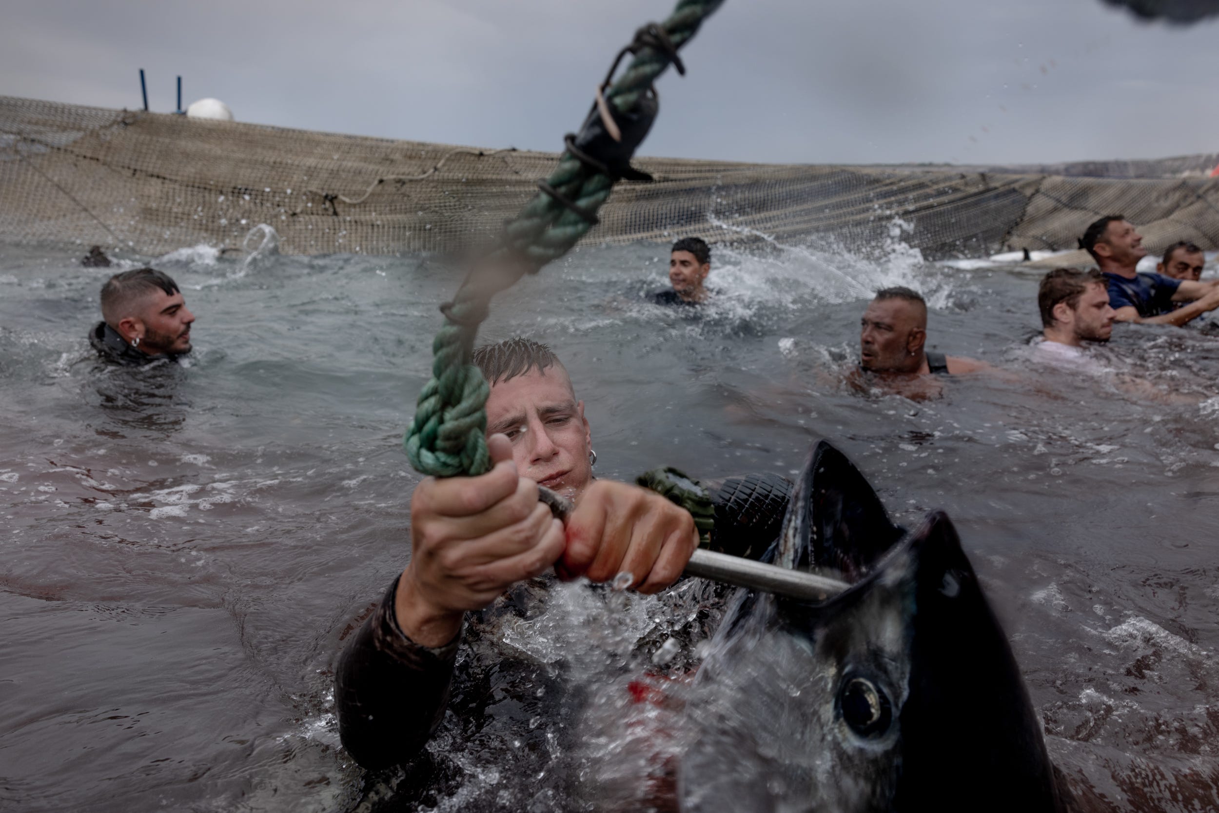 Der König der Meere - by Daniel Etter - The End of Nature
