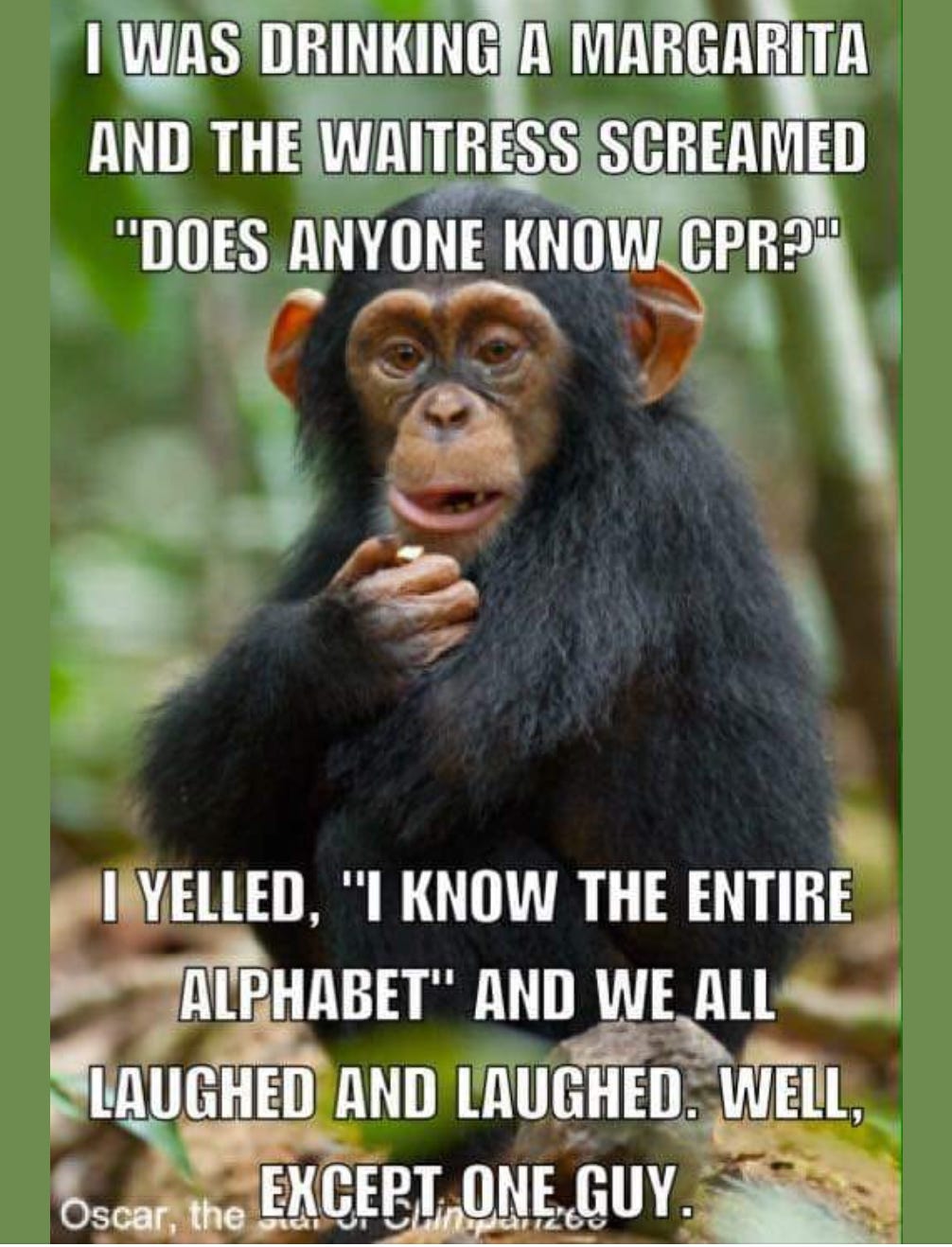 Friday Funnies - "Dance Monkey Dance"