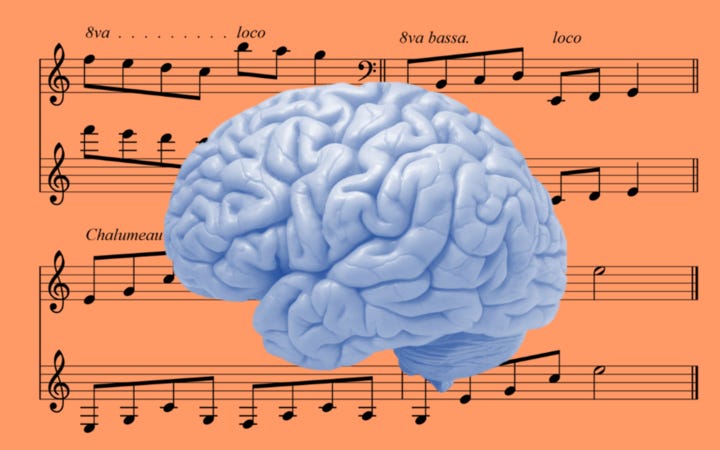 Early development of music is good for the brain