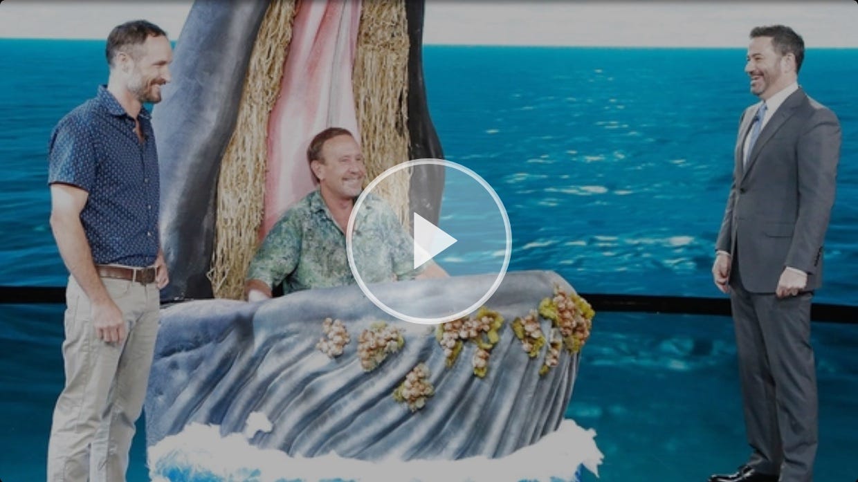 The whale tale that went global - by Seth Rolbein