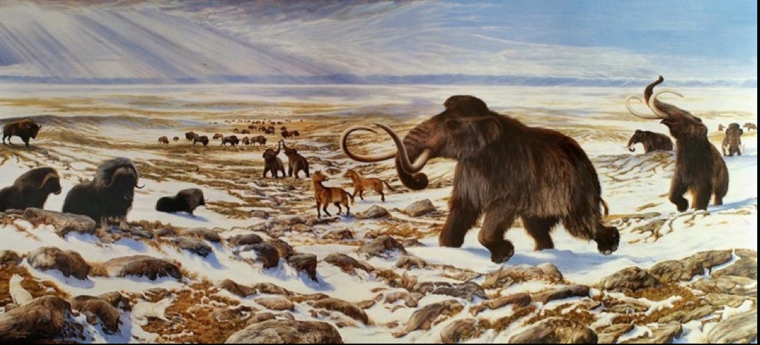 Return to the Ice Age - by David B. Williams