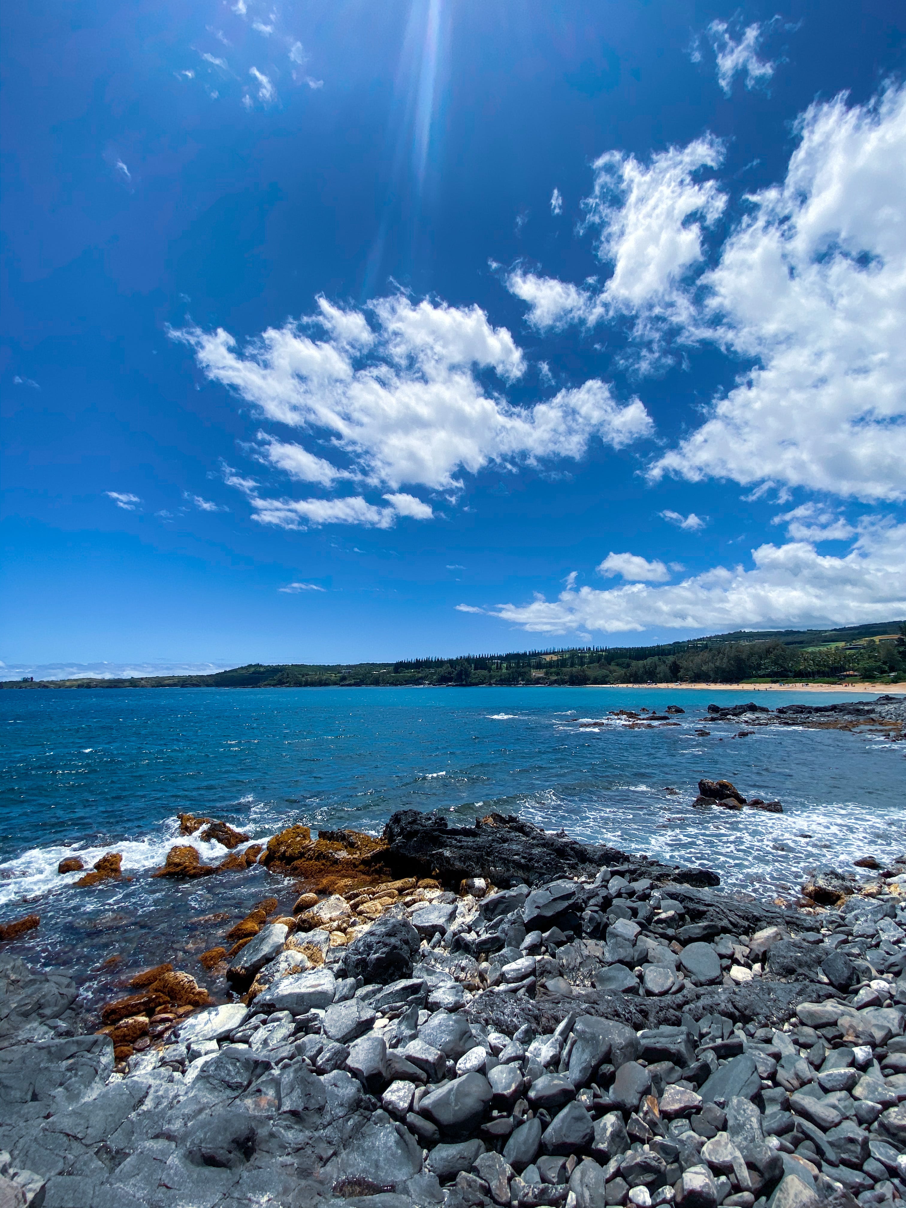 The Return of Concerts - by Donya Bayrami - Beats by Donya