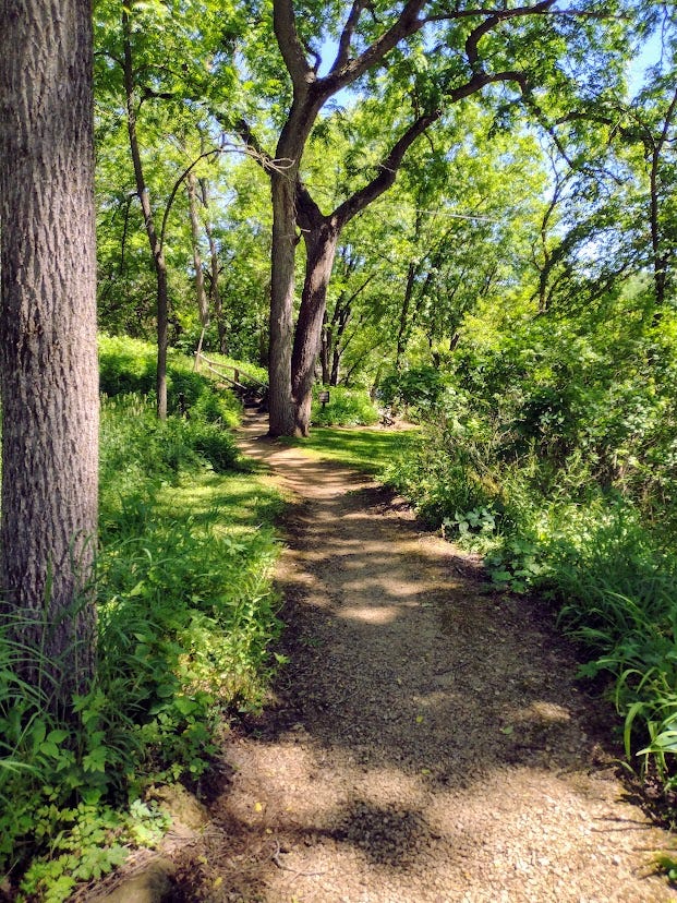A Delicious Cornish Dance - by Annette Laing