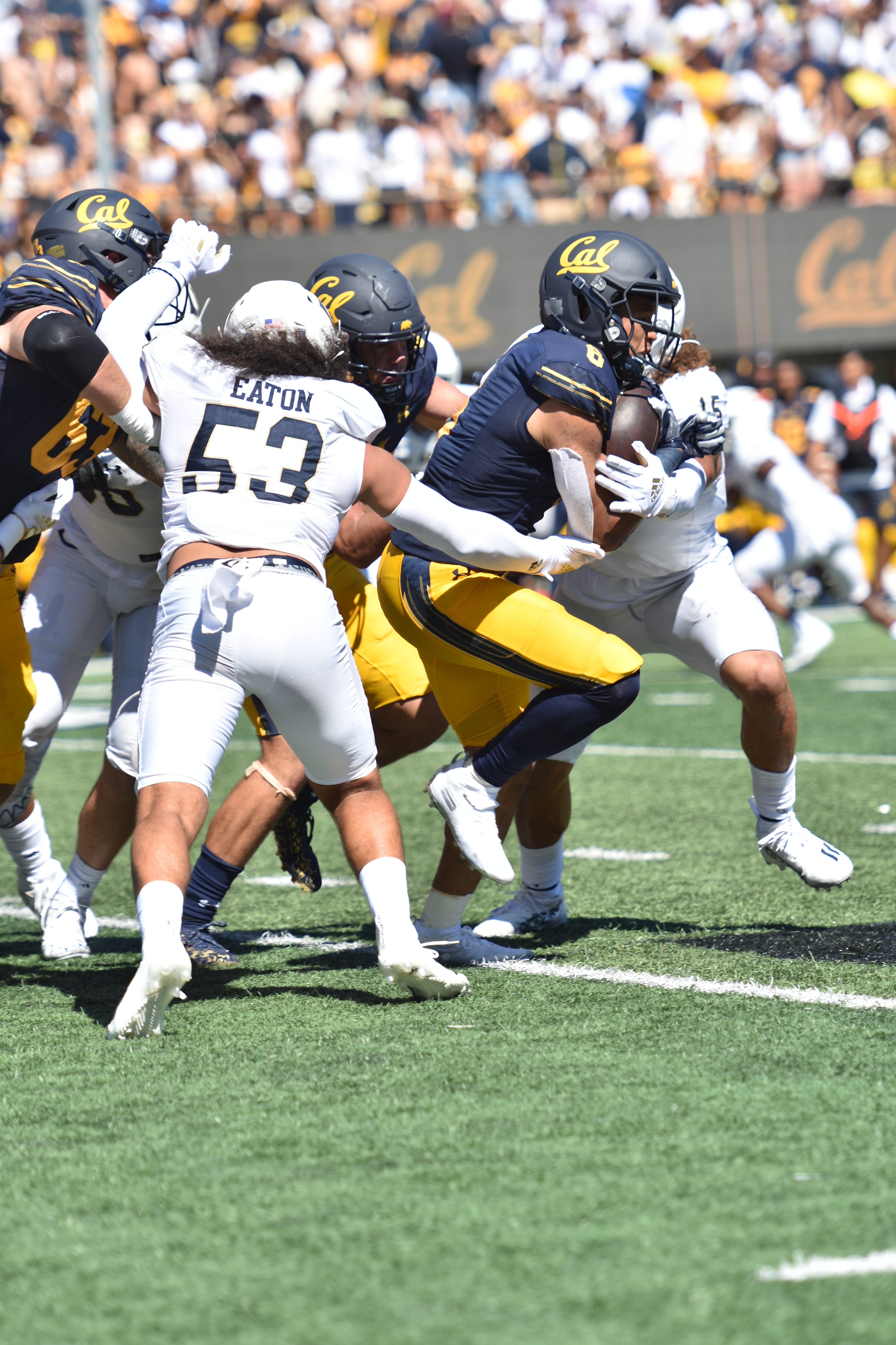 Evans Hall: Return of the very Average Cal Team Against Davis