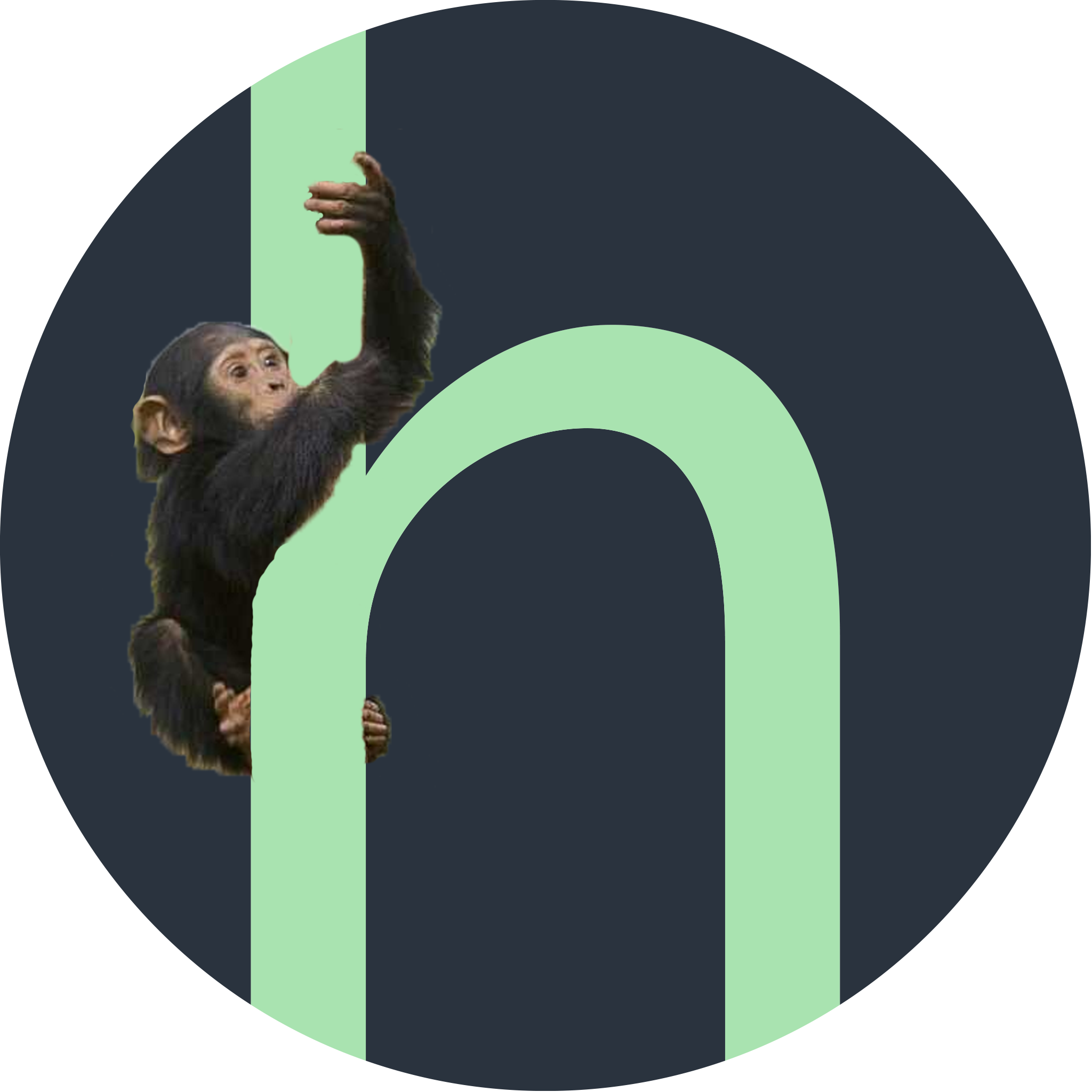 handle.fi | Substack